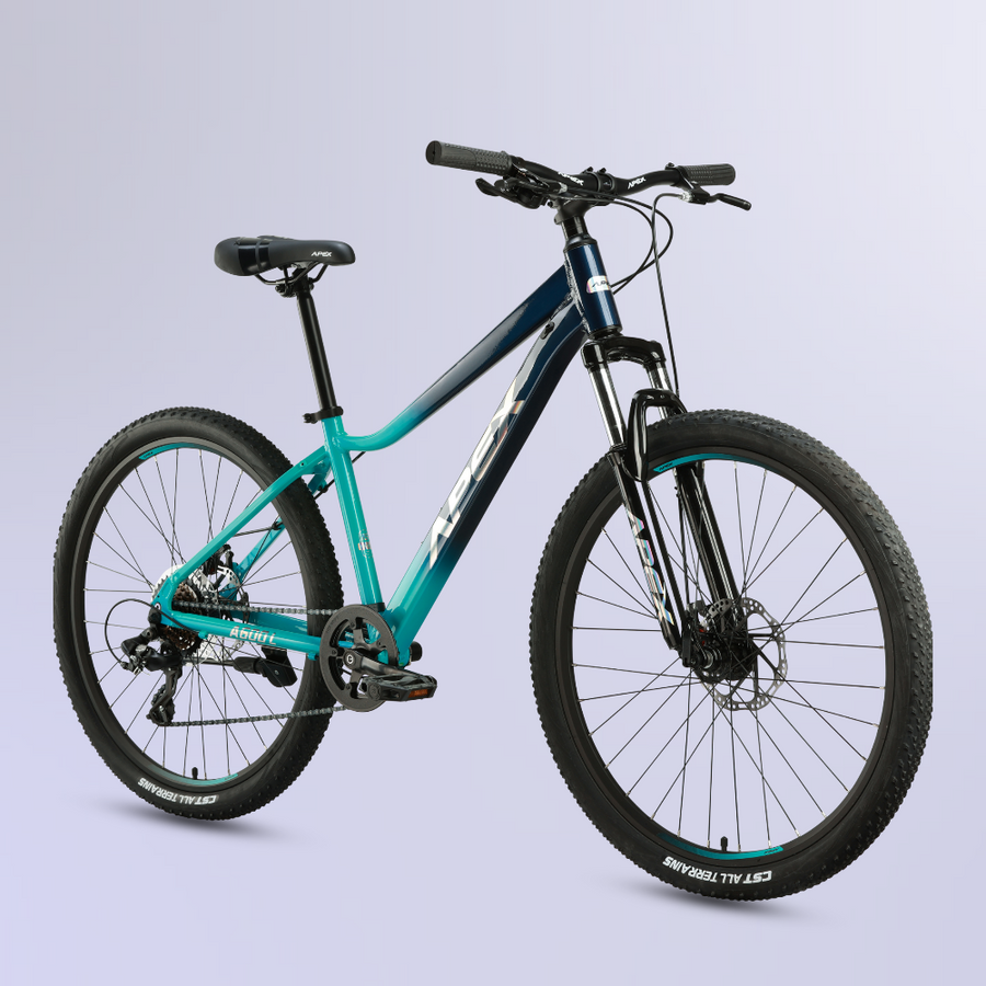 Apex Bicycles | Skip The Gym, Beat The Traffic, Get Outdoors